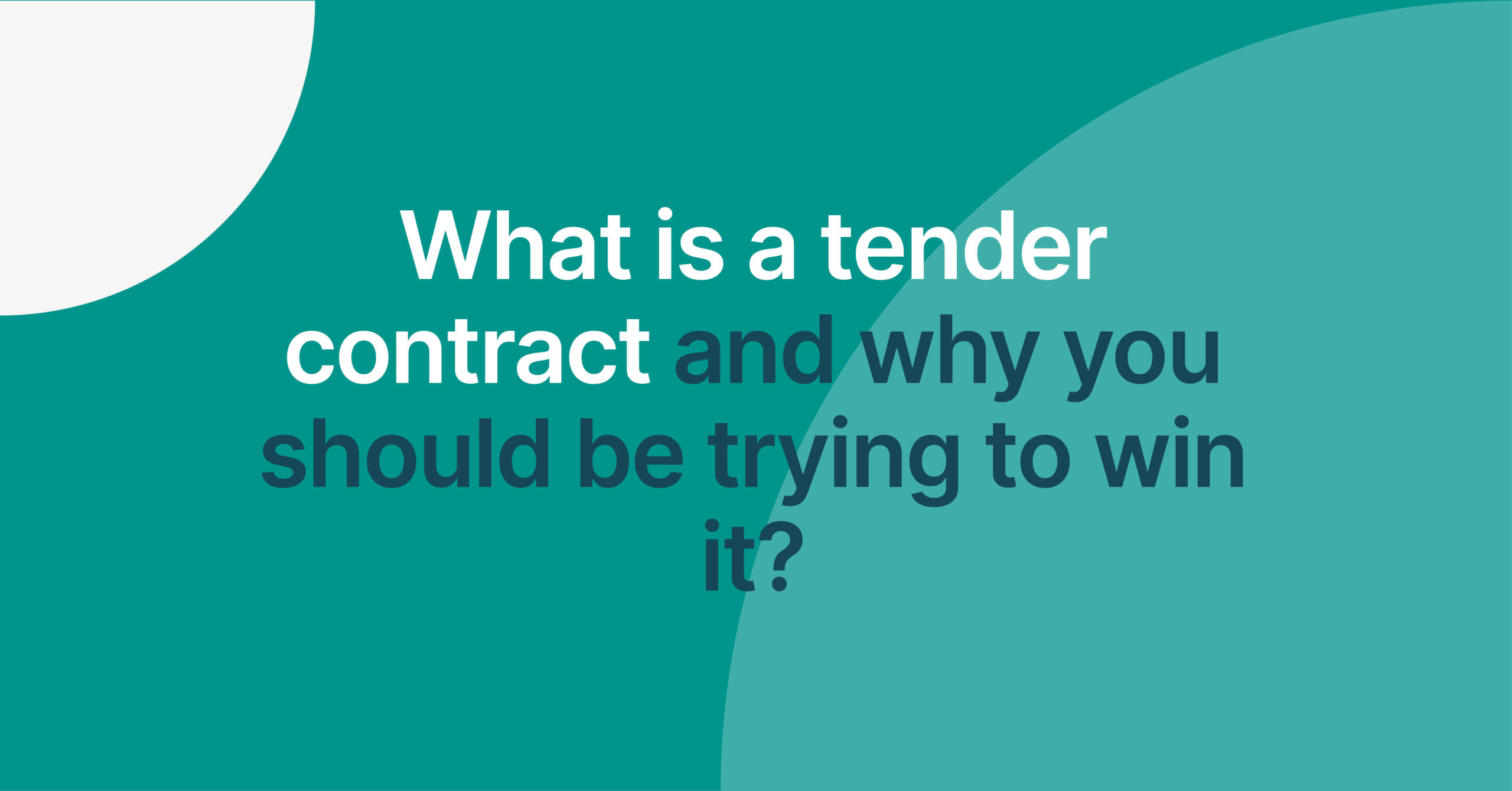 What is a tender contract and why you should be trying to win it?